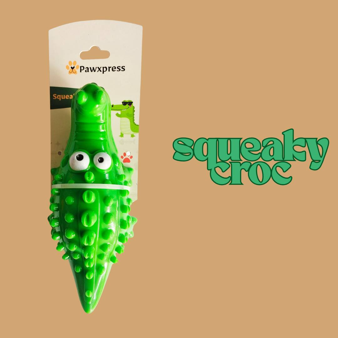 Buy Squeaky Shell & Croc Dog Toys Online in India – Pawxpress