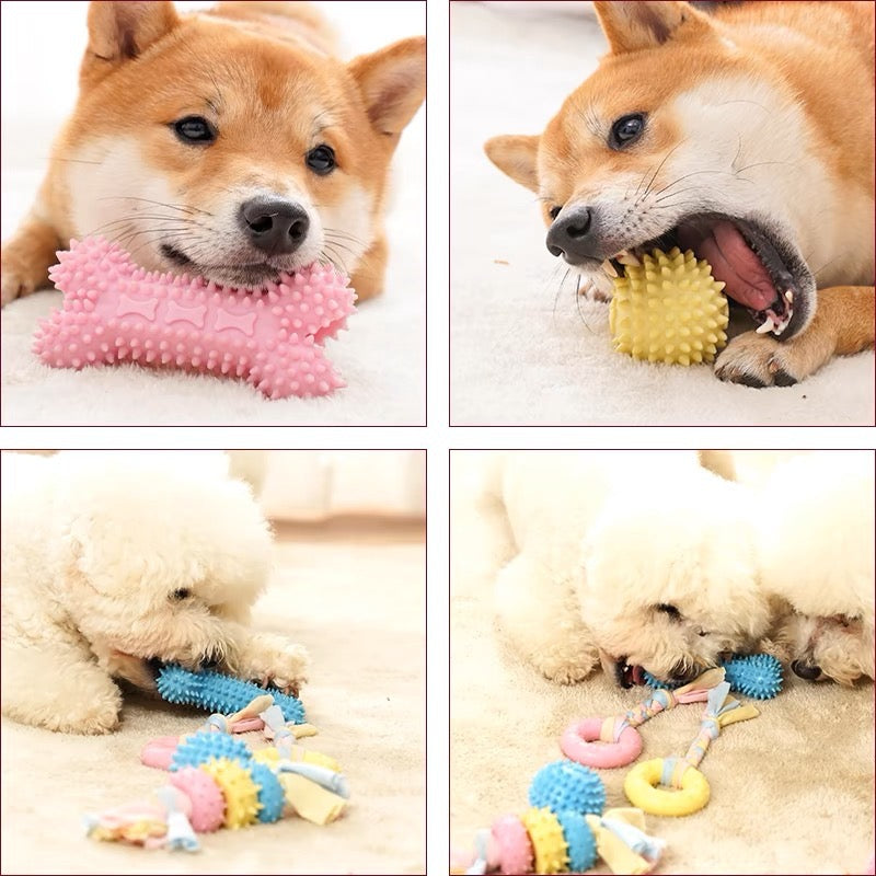 Buy Star TPR Rubber Dog Toy – Durable Chew Toy in India – Pawxpress