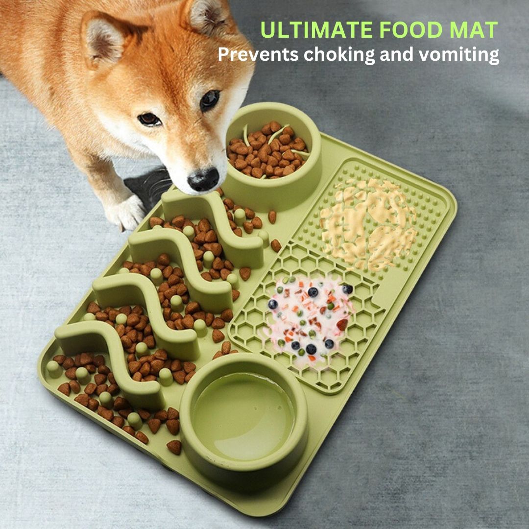 Buy Pet Food Mat for Dogs & Cats Online in India – Pawxpress
