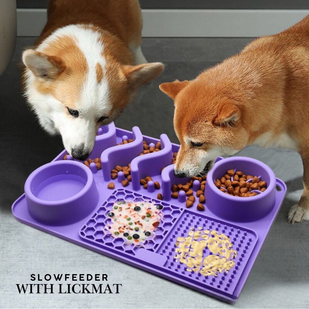 Buy Pet Food Mat for Dogs & Cats Online in India – Pawxpress