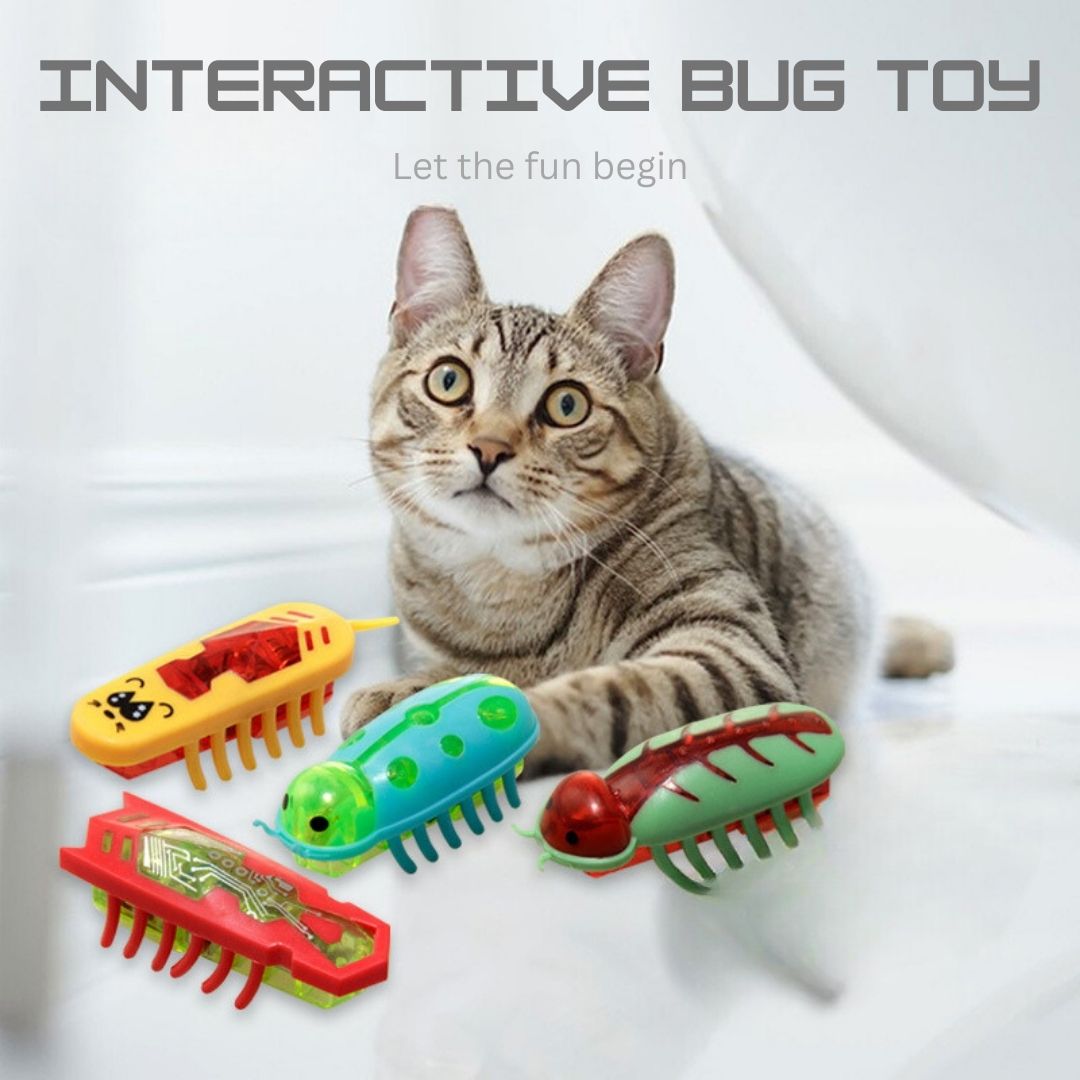 BUG BUDDY INTERACTIVE TOY FOR CATS – Pawxpress